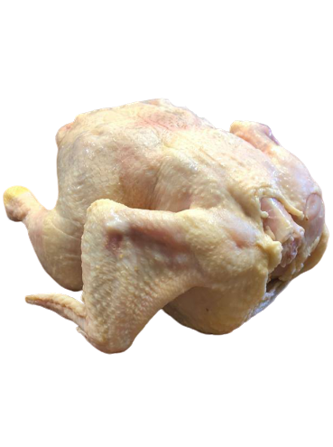 Fresh Whole Natural Hormone Free Chicken – Esposito Meats